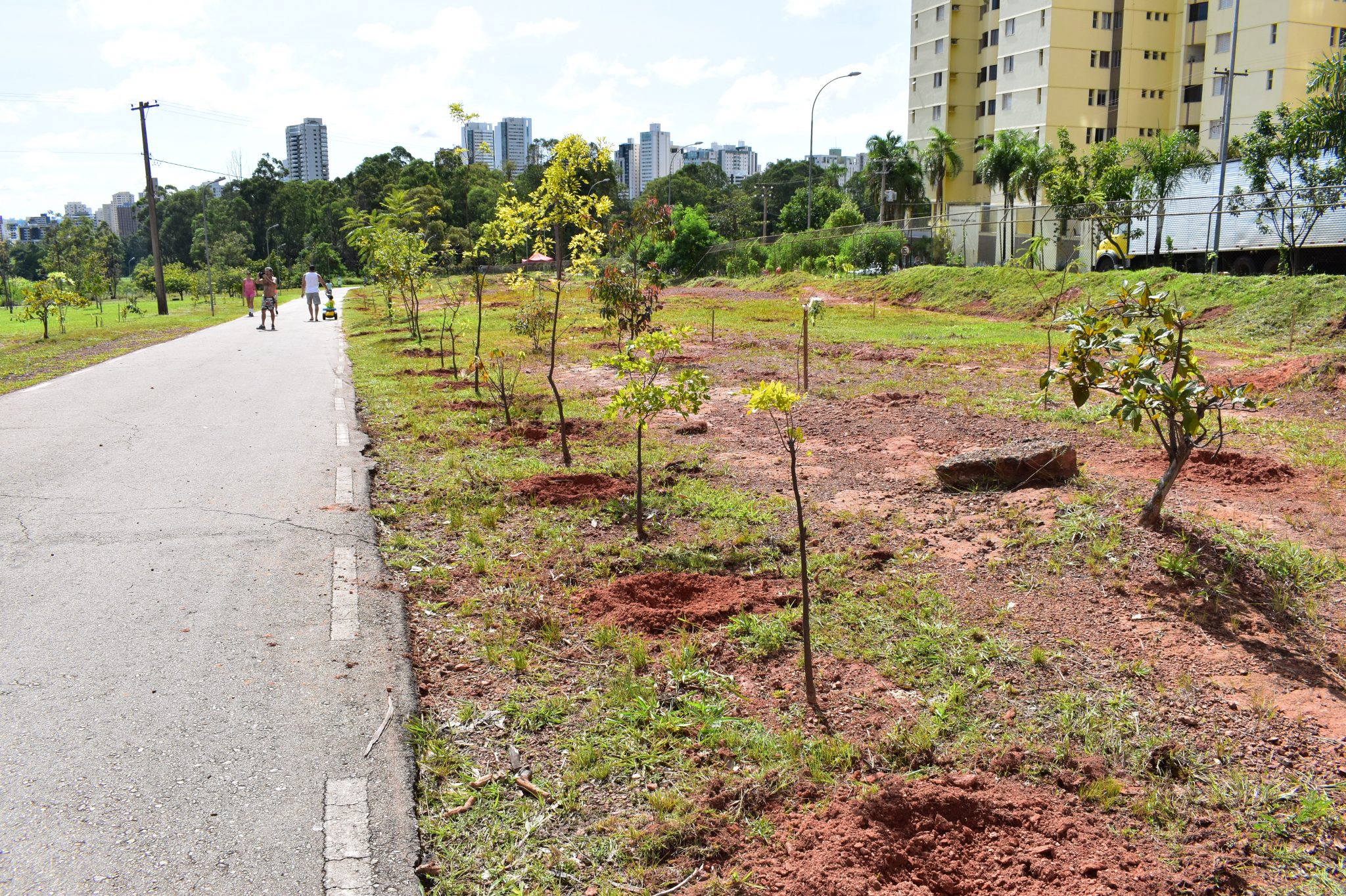 Programa de Recuperação de Nascentes planta 300 espécies do cerrado em ...